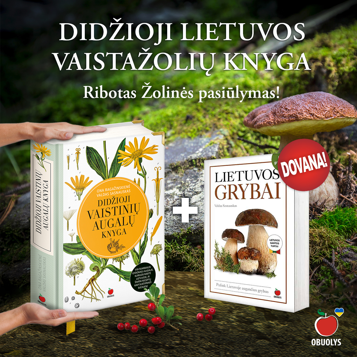 NAUJIENOS: šios knygos ką tik pasirodė lietuviškai | Leidykla OBUOLYS